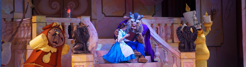 The Meaning Behind The Beauty And The Beast Flower