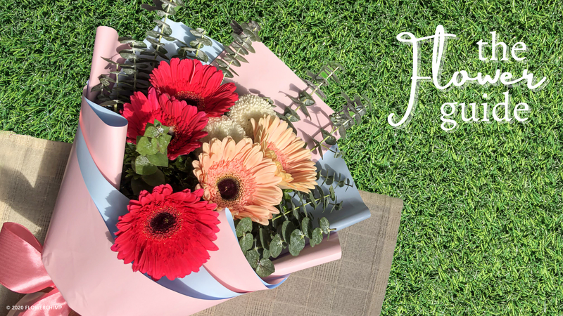 The Flower Guide
