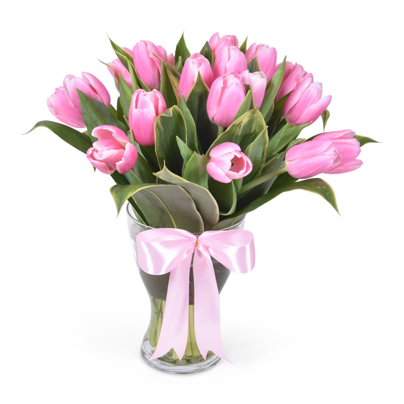 Tulips | Tulip Flower Bouquets Delivery Philippines