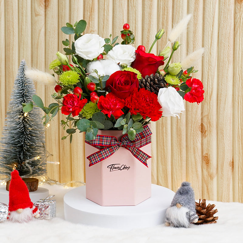 The Best Types Of Christmas Flowers!
