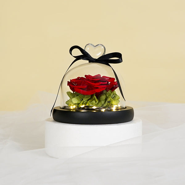 The Meaning Behind The Beauty And The Beast Flower