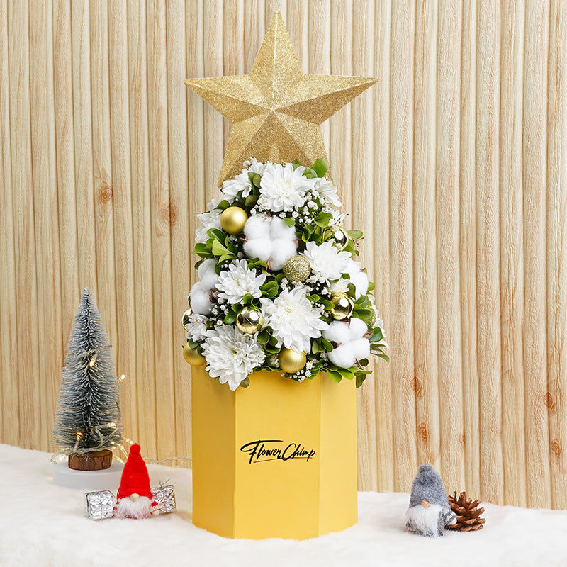 The Best Types Of Christmas Flowers!