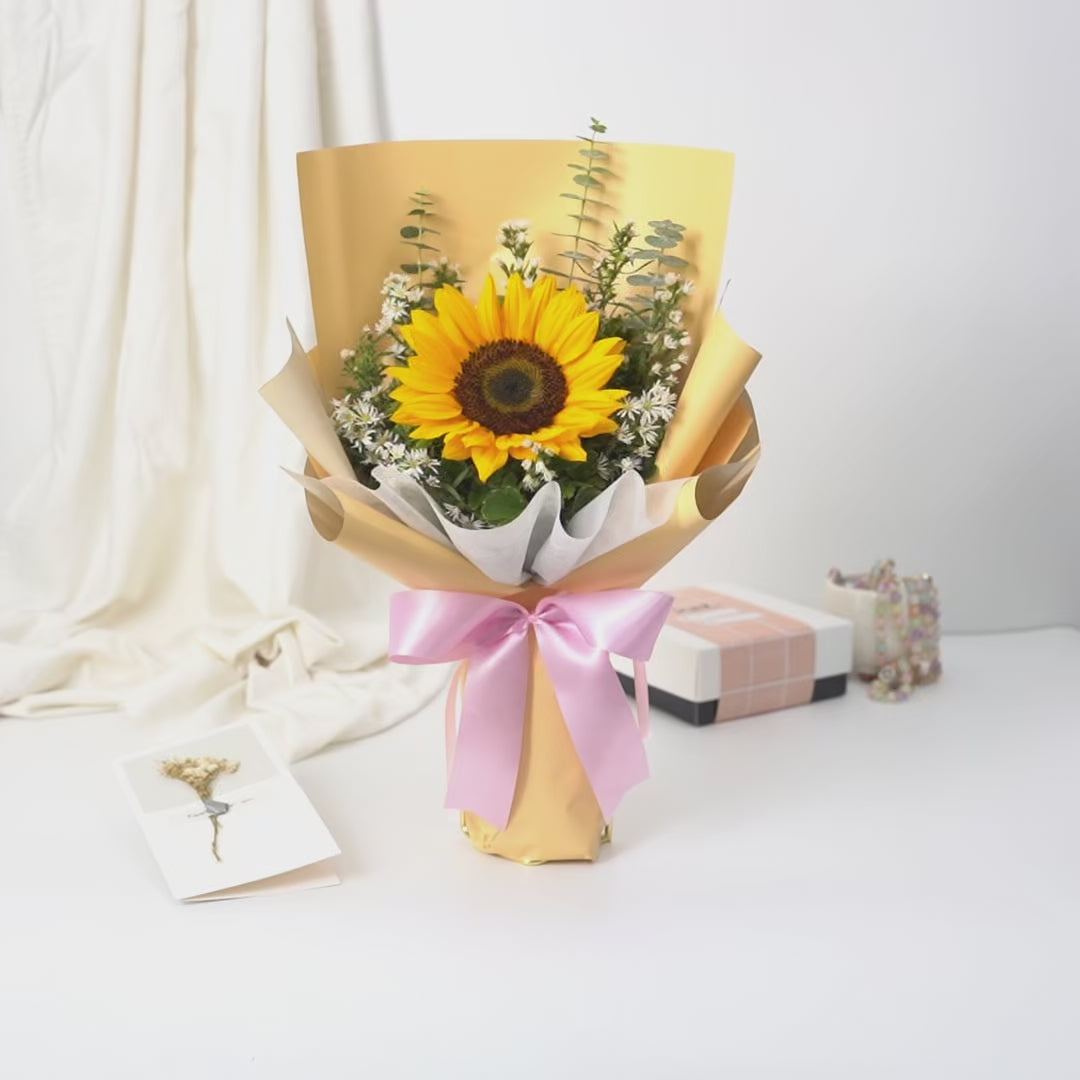 Corgi Jade Plant | Potted Plants