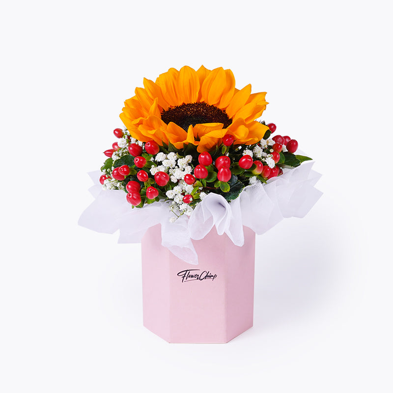 Maple - Simple & Cute Flower Box | Table Decoration