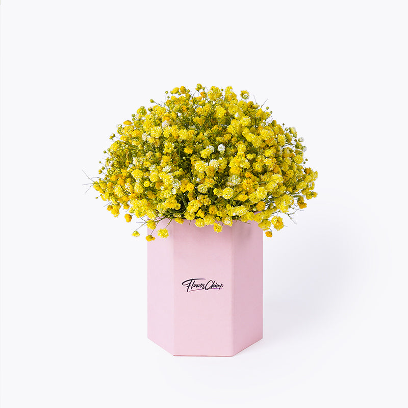 Maple - Simple & Cute Flower Box | Table Decoration