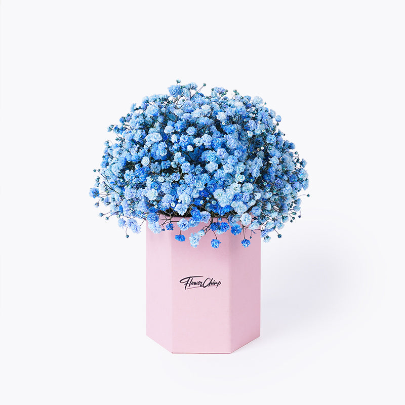 Maple - Simple & Cute Flower Box | Table Decoration