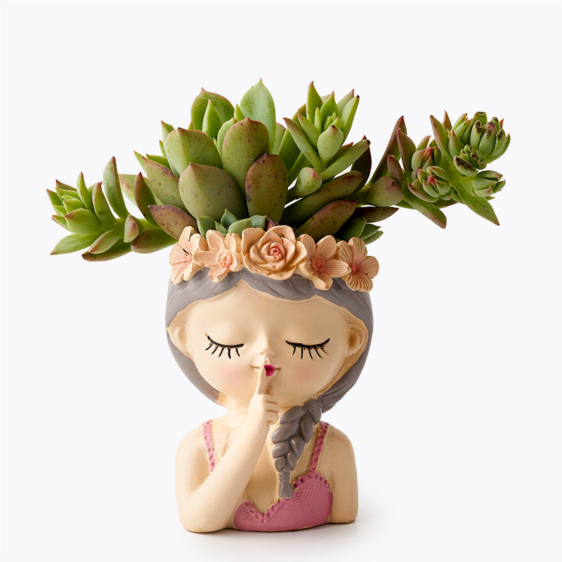 10+ Indoor Potted Plants in the Philippines