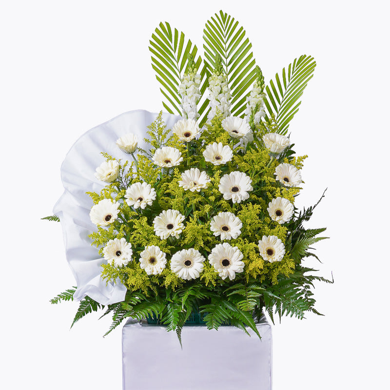 Daisy Flower Bouquets & Arrangements Philippines