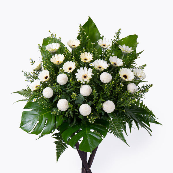 Daisy Flower Bouquets & Arrangements Philippines