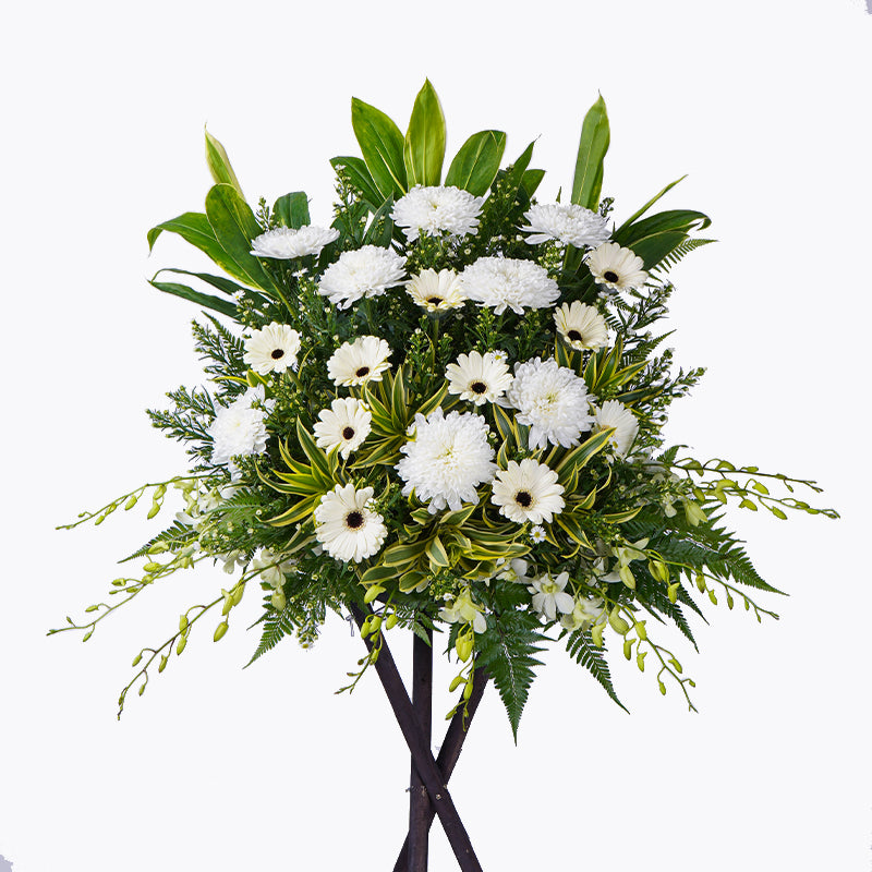 Daisy Flower Bouquets & Arrangements Philippines